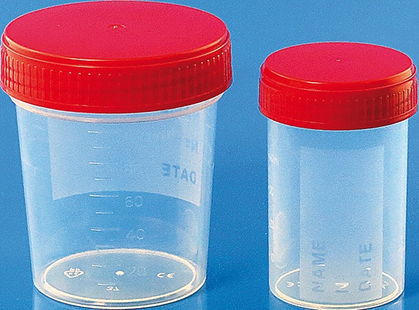 Figure Figure 3-Creation of the bone bank of the Rabat and Casablanca ...