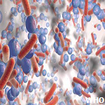 Surgical wound infection caused by a multi drug resistant Streptococcus ...