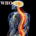 Short-term neurological and functional outcome of surgical intervention ...