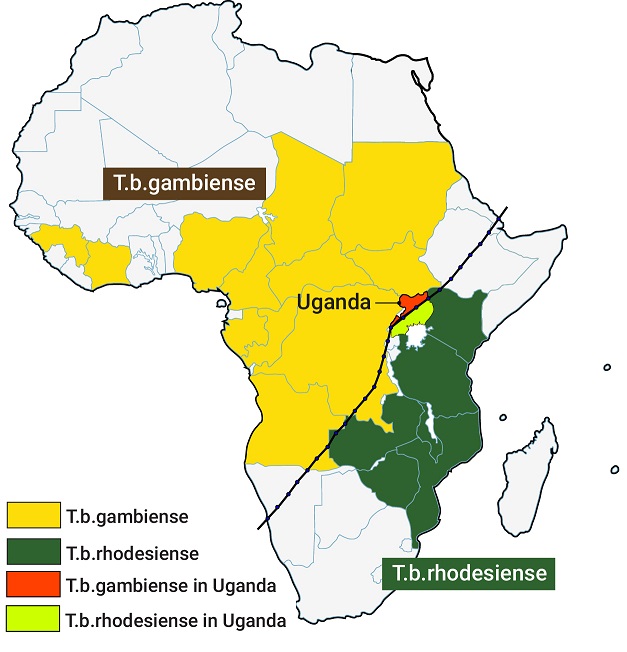 Figure 1: Evaluation of a “Stamp Out Sleeping Sickness” campaign in ...